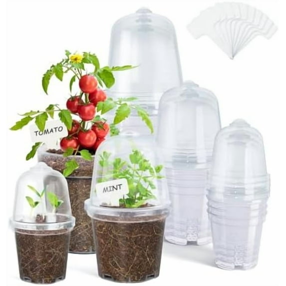 Clear Nursery Pots for Plants,3/4/5 Inch Plant Pot for Planting with ...