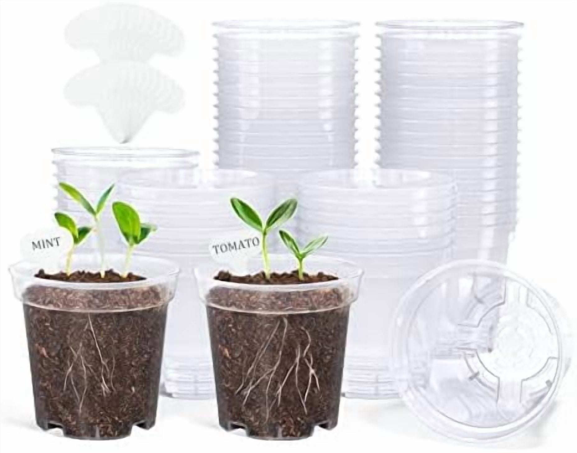Clear Nursery Pots for Plants,3 Inch Plant Pot for Planting Plastic ...