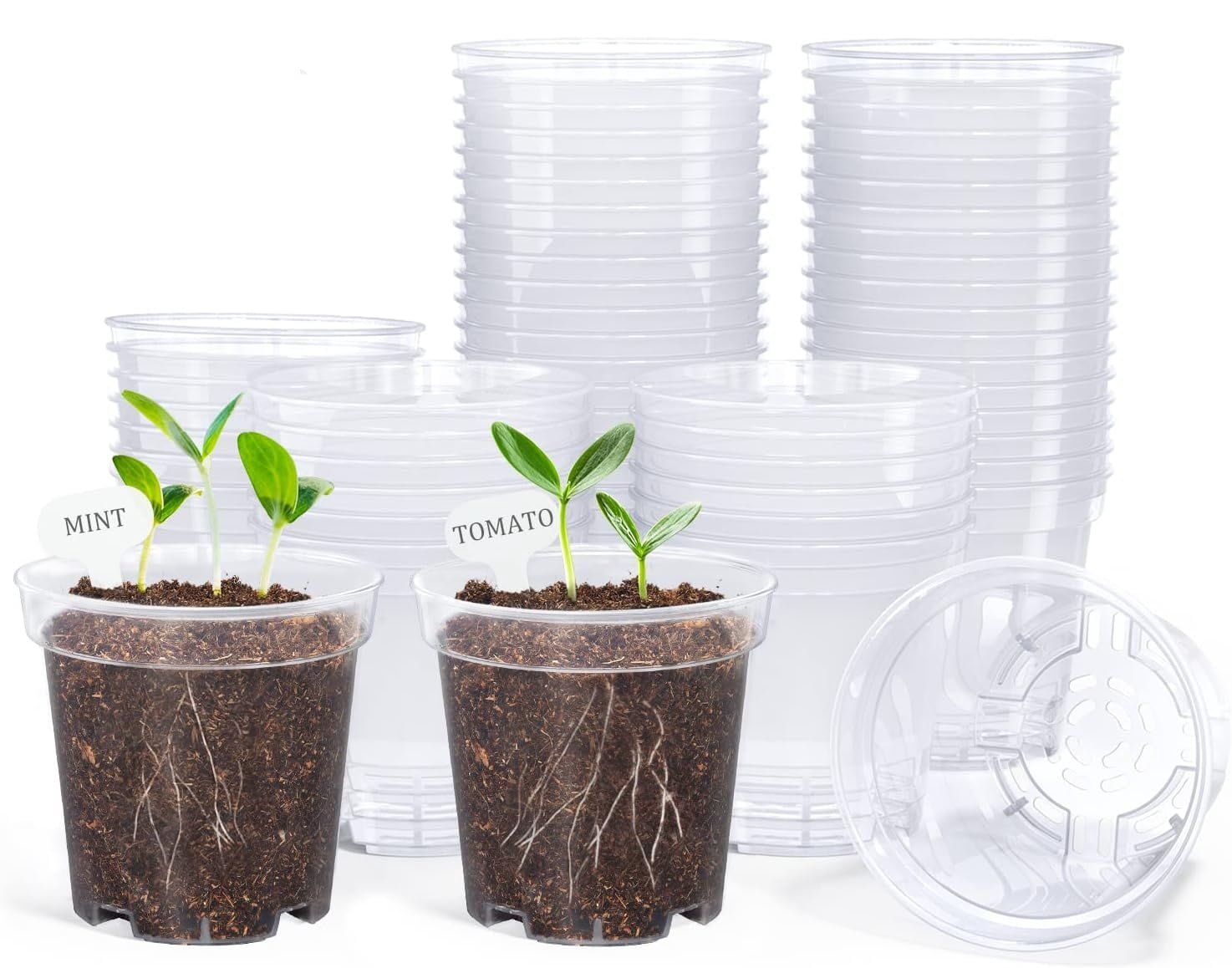 Clear Nursery Pots for Plants,3 Inch Plant Pot for Planting Plastic ...