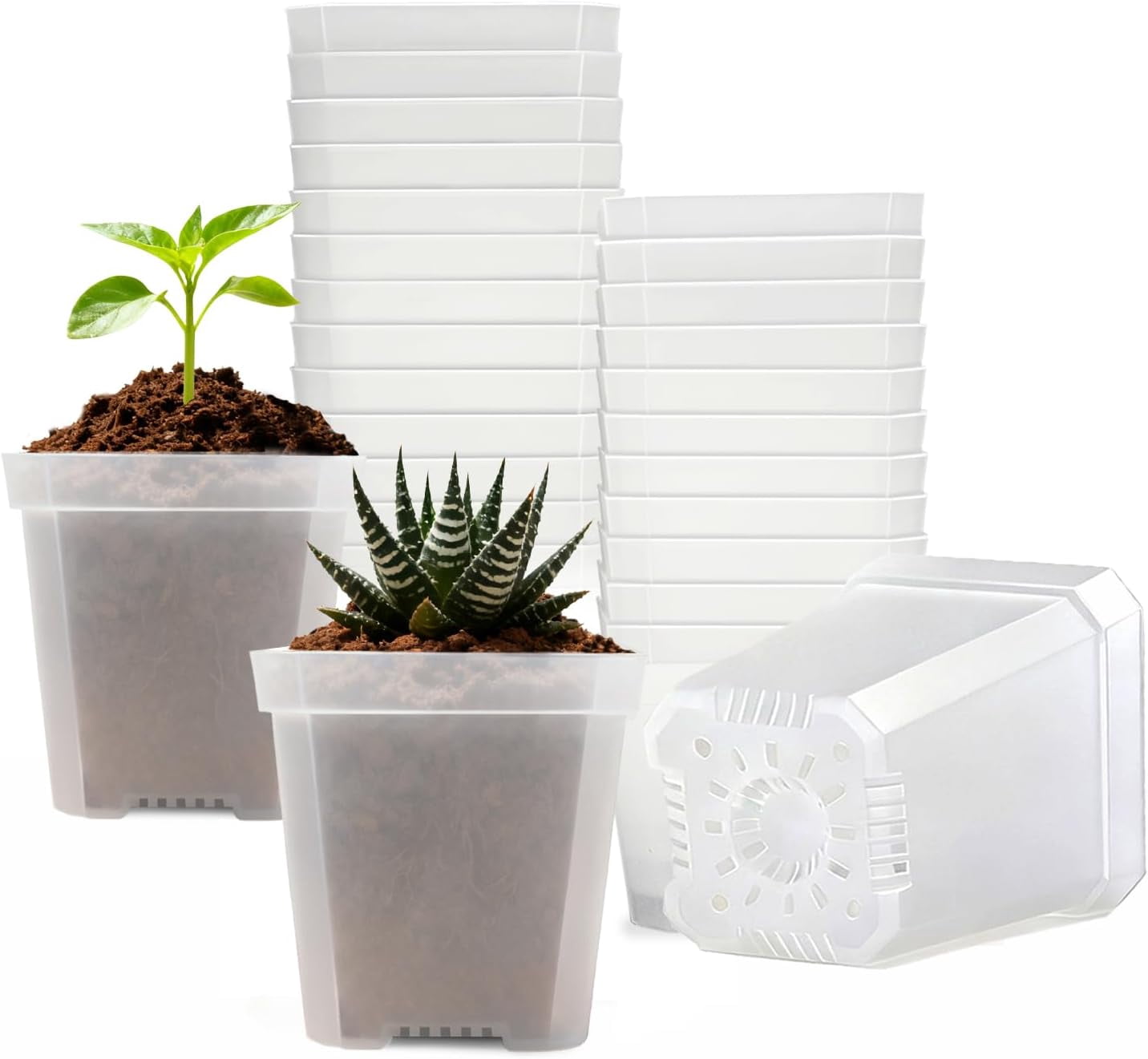 Clear Nursery Pots with Drainage Square Plastic Plant Pots 3 Inch Seed ...