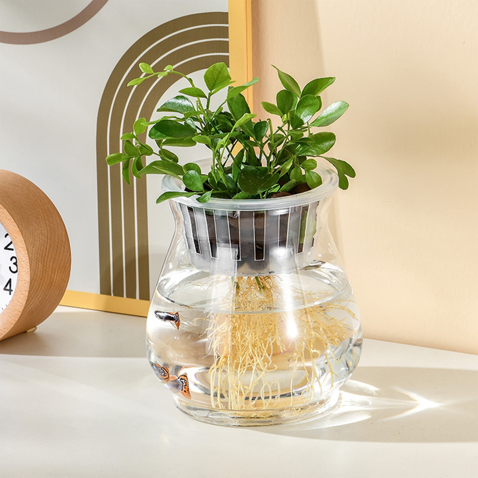 Clear PET Hydroponic Vase with Plant Basket - Break-Resistant Flower ...