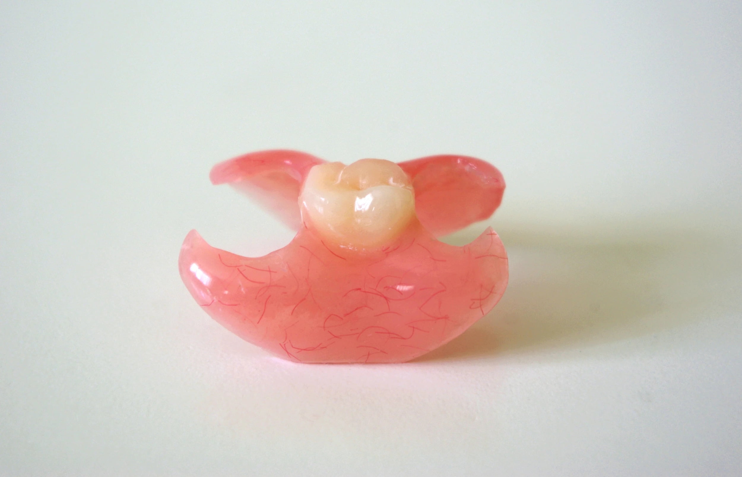 Clear-Pink Nesbit | Partial Denture - Walmart.com