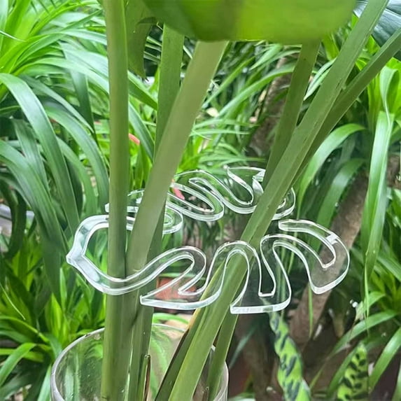 Clear Plant Stem Support Clips & Fixators - Transparent Flower Stakes ...