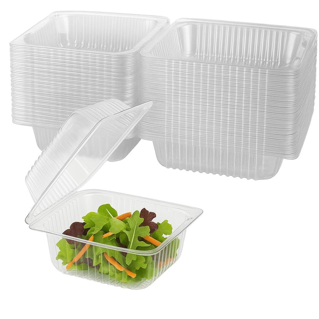Clear Plastic Hinged Take-Out Containers Clamshell Food Containers for ...