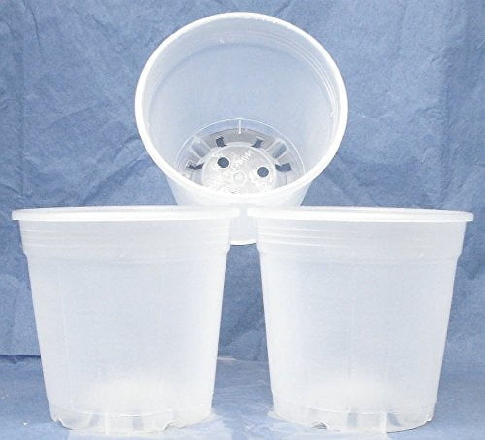 Clear Plastic Teku Pot for Orchids 6 inch Diameter - Quantity 3 pack of ...