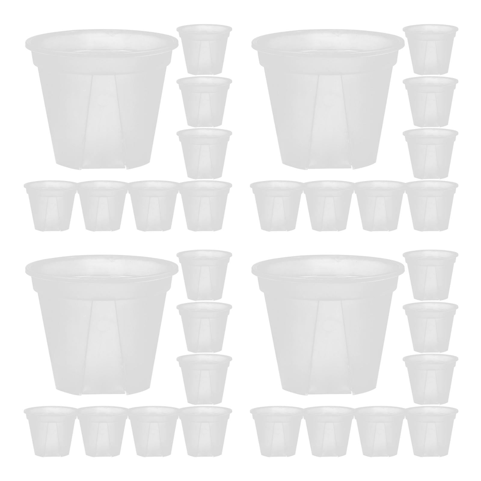 BESTONZON Transparent Plant Pots, White Plastic, Ideal for Succulents ...