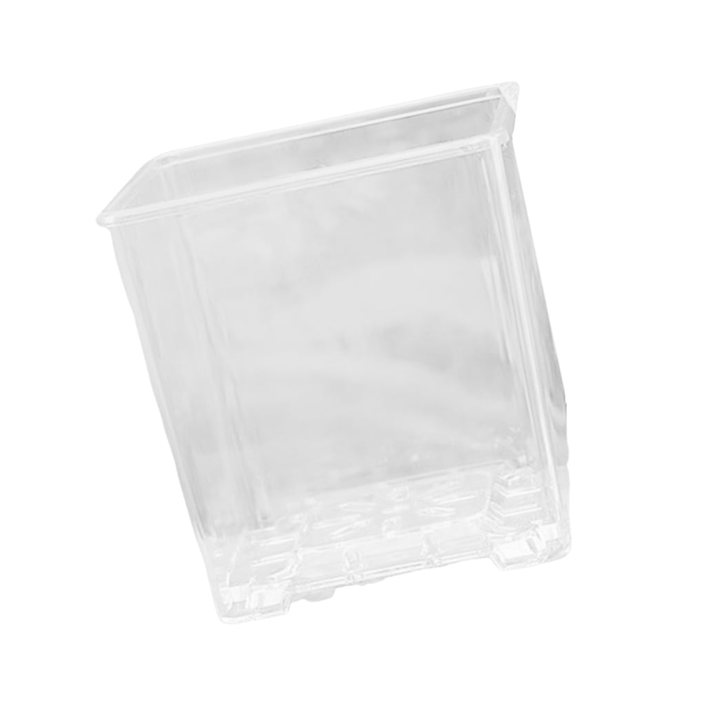 Clear Pots Simple Breathable Ornament Phalaenopsis Planter Supply ...