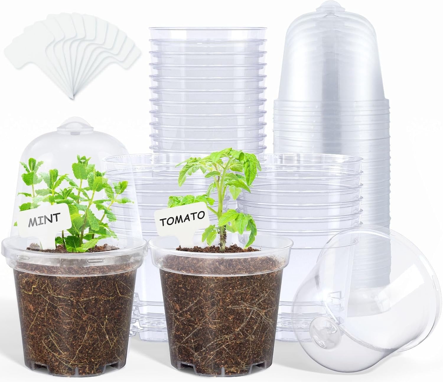 Clear Pots for ,4 Inch Pot for Planting with Humidity Domes Plastic ...