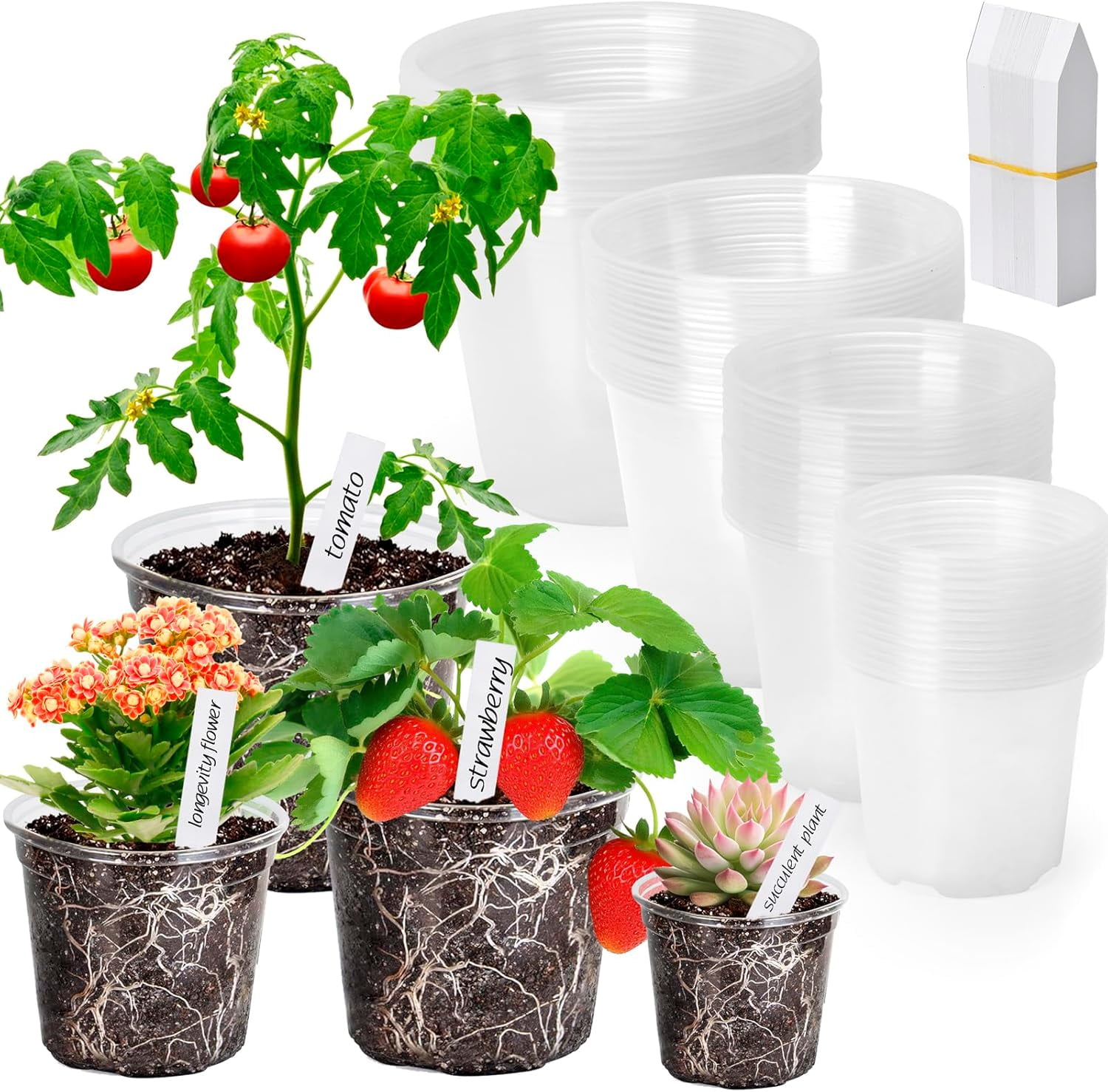 Clear Pots with Drainage Holes-48 3.5/5/6/7Inch Transparent Pots for ...