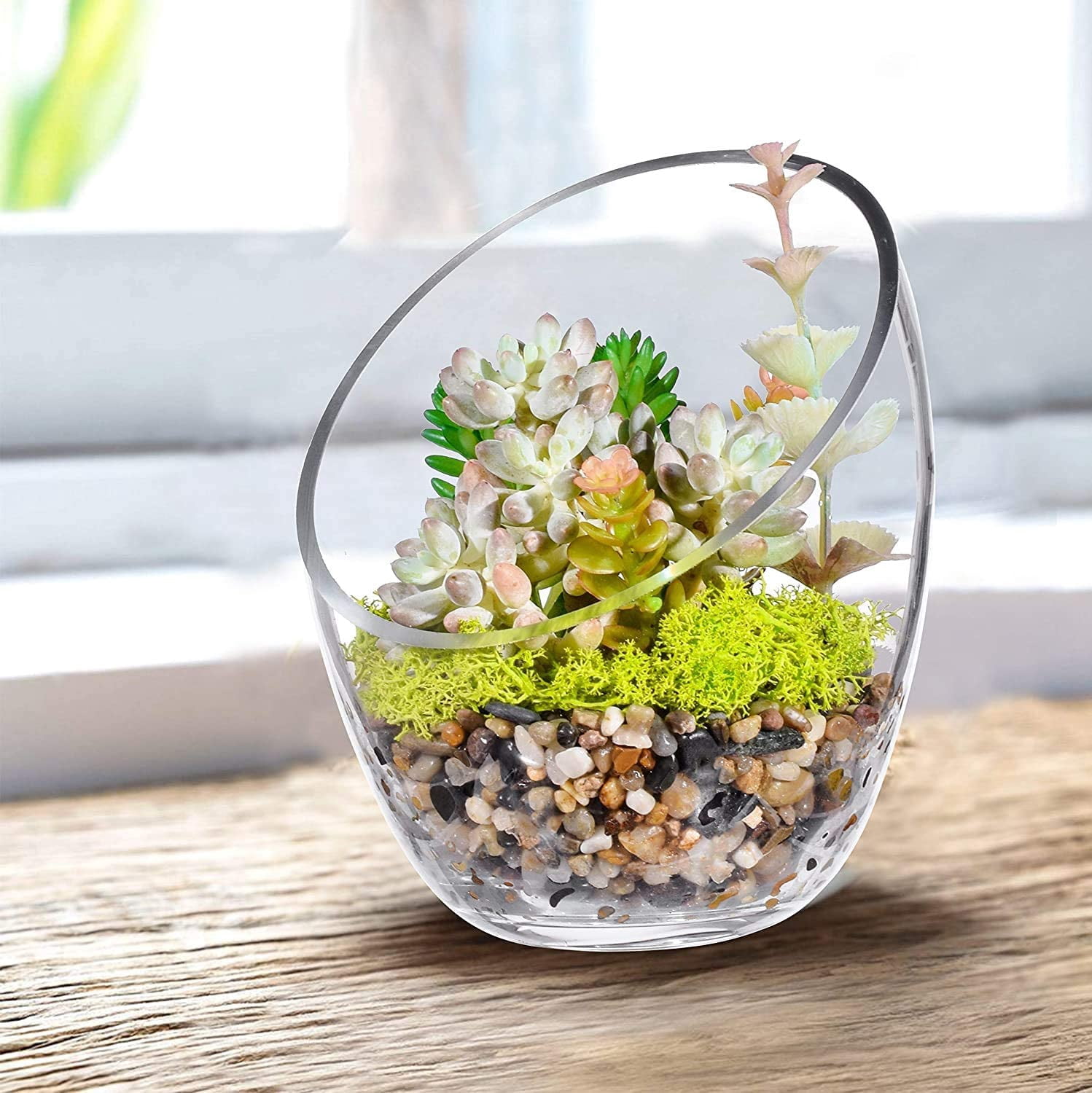 Clear Slant Cut Bubble Bowl, Fish Bowl & Plant Terrarium, Candy Jar ...