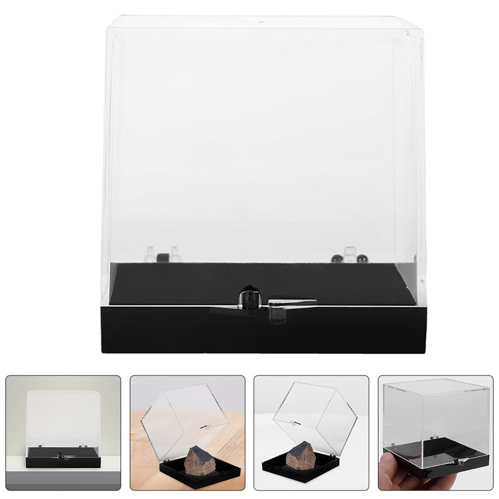 Clear Specimen Sample Display Storage Box Clear Holder for Stones ...