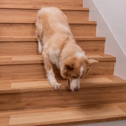 Clear Stair Runners for Wooden Steps Indoor, 15 Pack Skateboards Grip ...