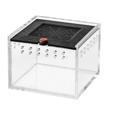 Spider Terrarium, Clear Acrylic Reptile Cage Habitat Insect Feeding Box ...
