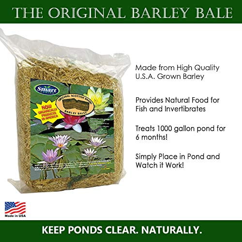 Clear-Water Barley Straw Bales, Pond logs 8oz Treats 1000 gallons for 6 ...
