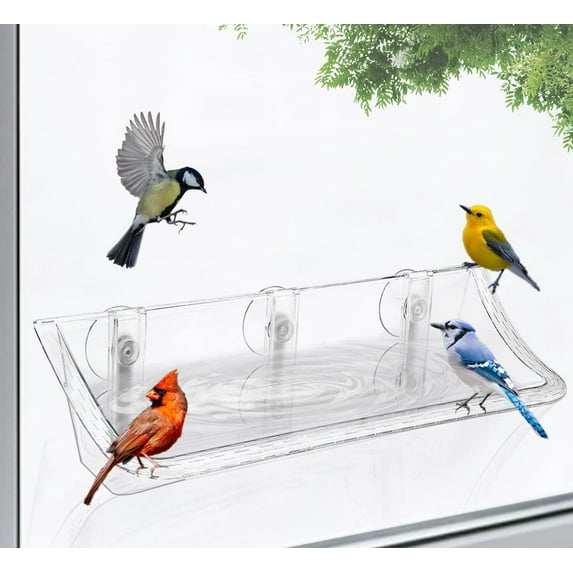 Clear Window Mounted Bird Feeder Bath with Strong Suction Cups ...