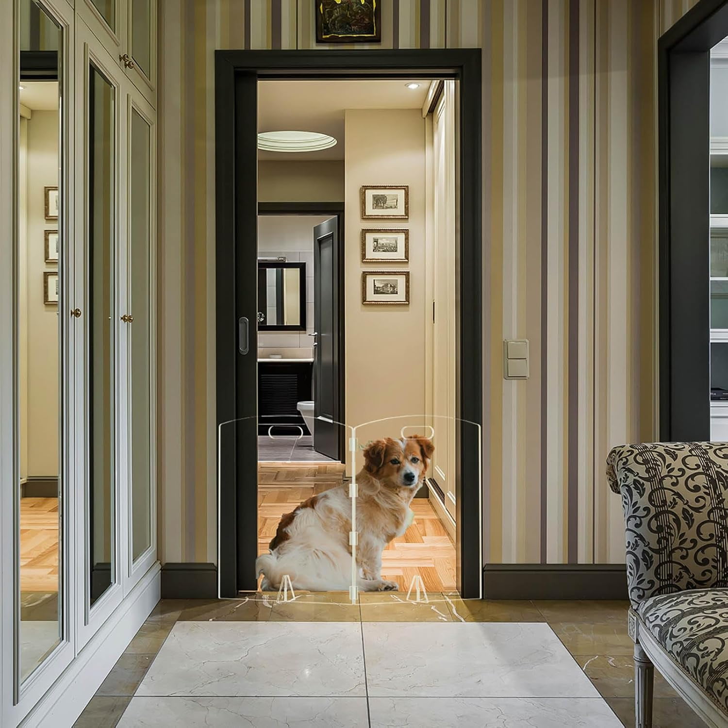 Clear freestanding Dog gate for Indoor use,Pet Gates for doorways no ...