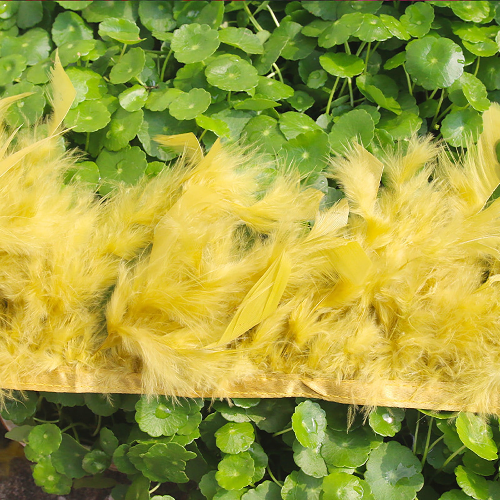 Clearance! 100cm 10 To 13CM Turkey Feather Trim Fringe For Home Decor ...