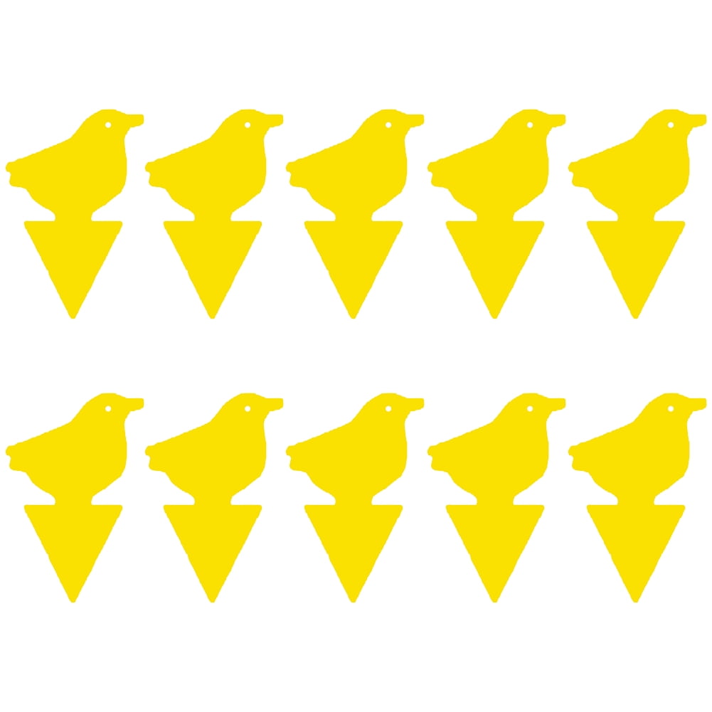 Clearance! 10Pcs Dual-Sided Sticky Fly Traps, Non-Toxic Fruit Fly Trap ...