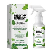Mighty Mint Pest Control Spray (128 oz) for Spiders, Ants, Roaches ...