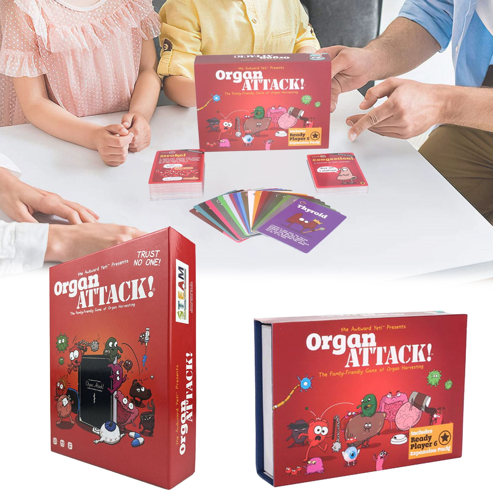 Clearance 2024 Human Anatomy Card Game Fun and Educational Strategy ...