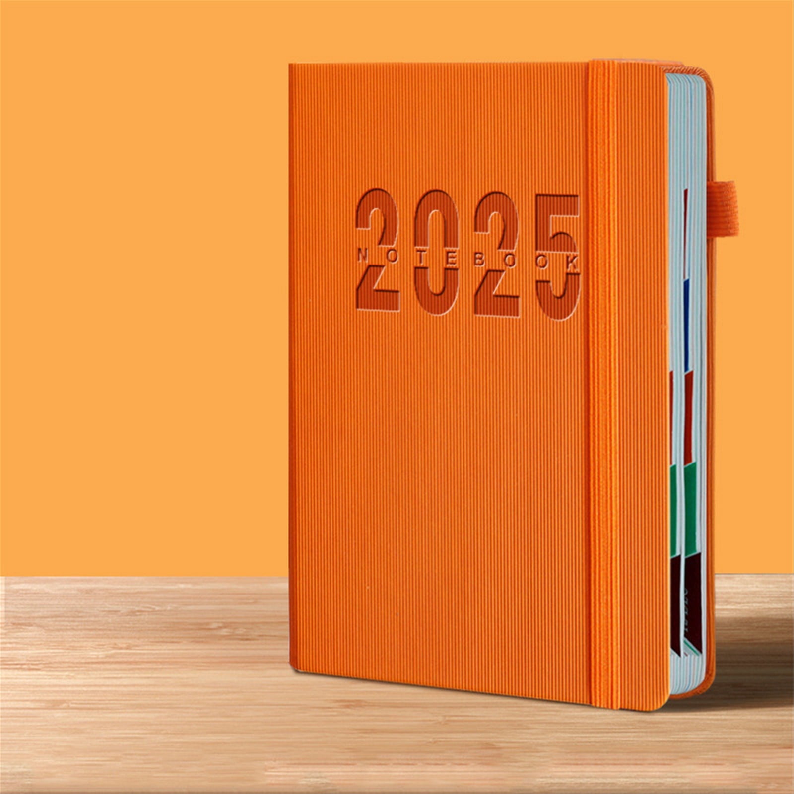 2025 Daily Planner - Planner 2025 Weekly and Monthly with Stickers, JAN ...