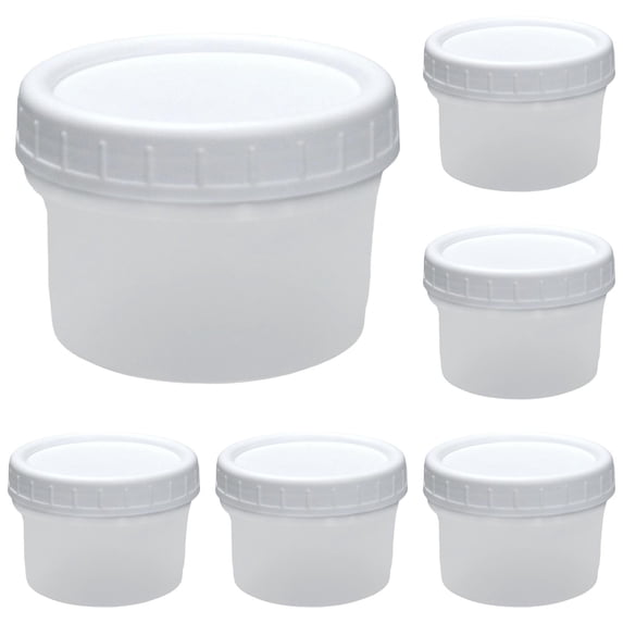 Clearance Under $4, 6 Pack Small Food Storage Containers with Lids ...