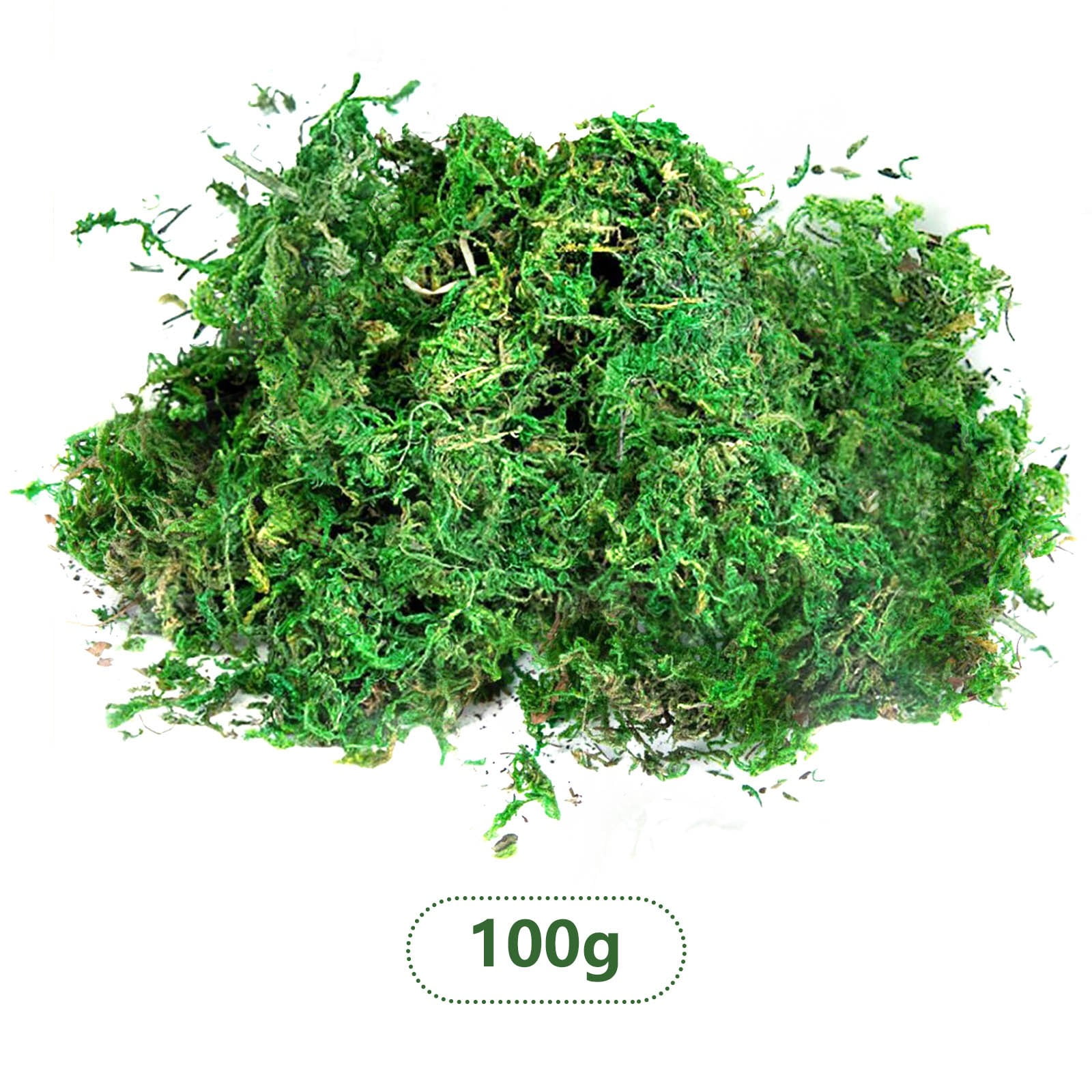 Clearance Under $5 FNGZ 100G Moss,Fake Moss Artificial Moss for Potted ...
