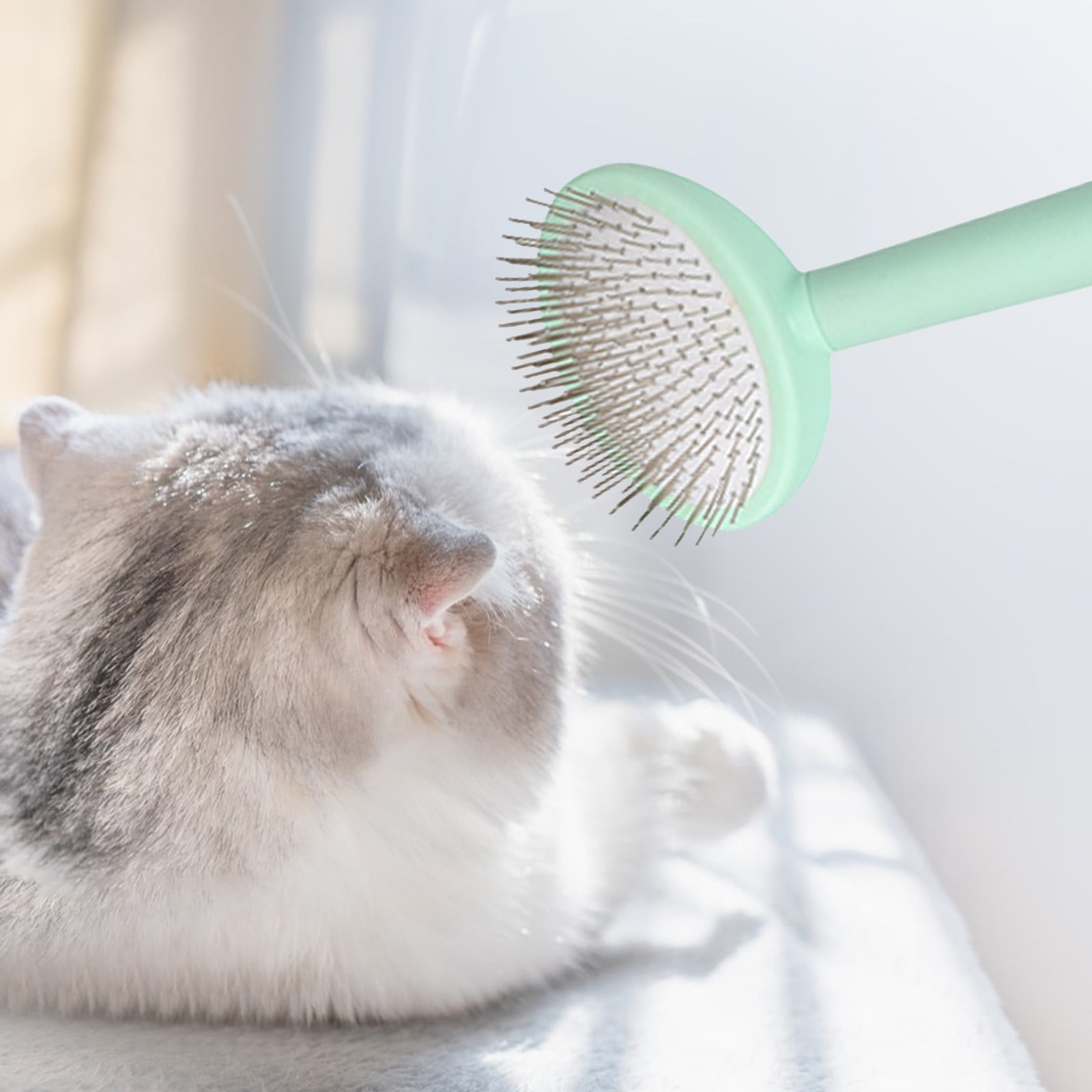 Savings Pet Grooming Brush for Cats and Dogs,Cat Brush,Pet Grooming ...