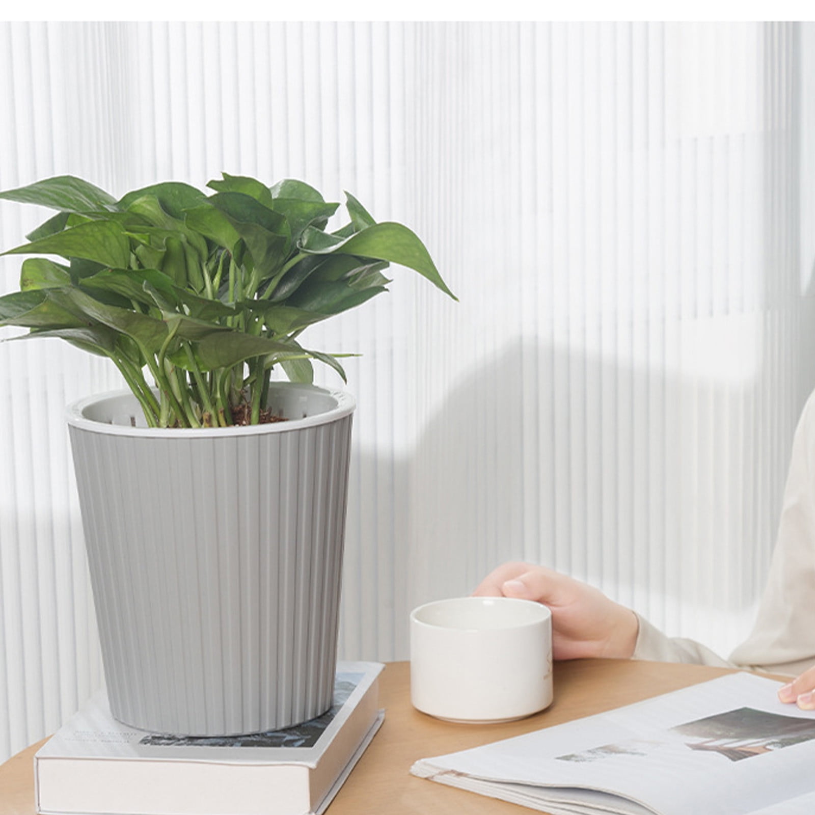 Clearance Under $5!Yyuenw Self Watering Plant Pots with Watering Lip ...