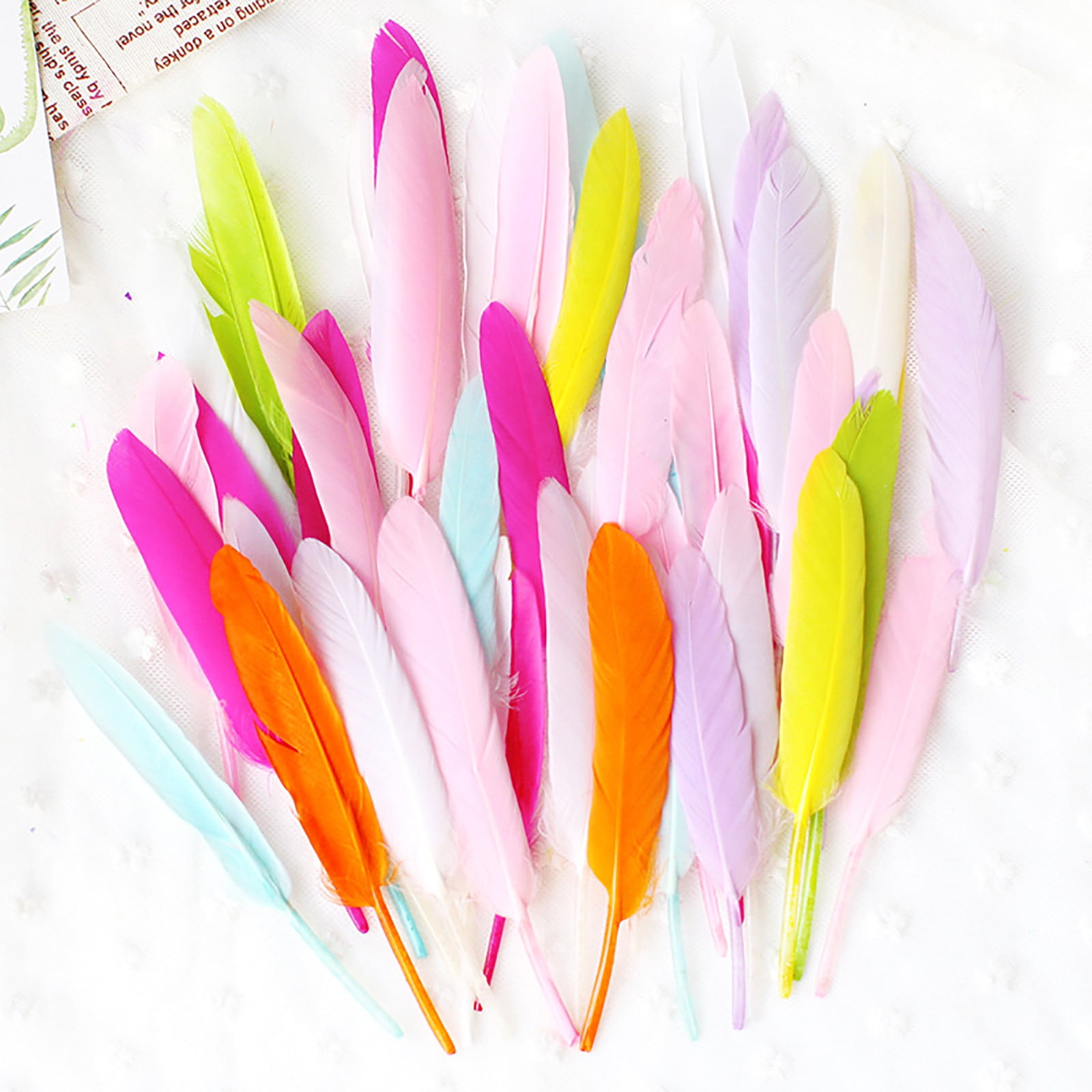 Clearance! 50 Pieces Set Natural Colourful DIY Feather Craft Toy ...