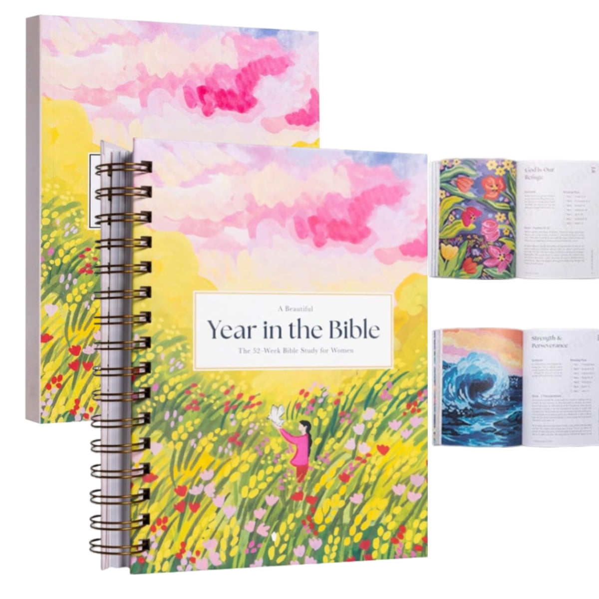 Clearance!A Beautiful Year in the Bible: The 52-Week Bible Study for ...