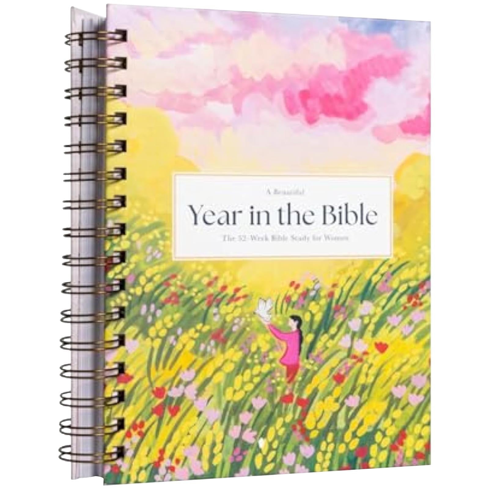 Clearance, A Beautiful Year in the Bible: The 52-Week Bible Study for ...