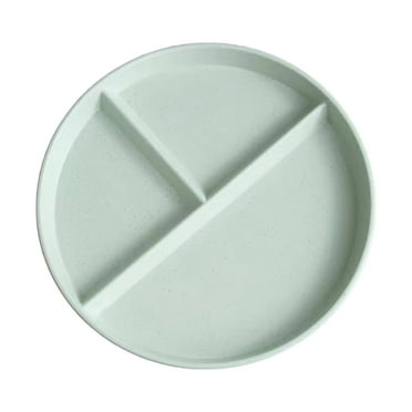 Precise Portions Portion Control Plate, 9-Inch Lifestyle Maintenance ...