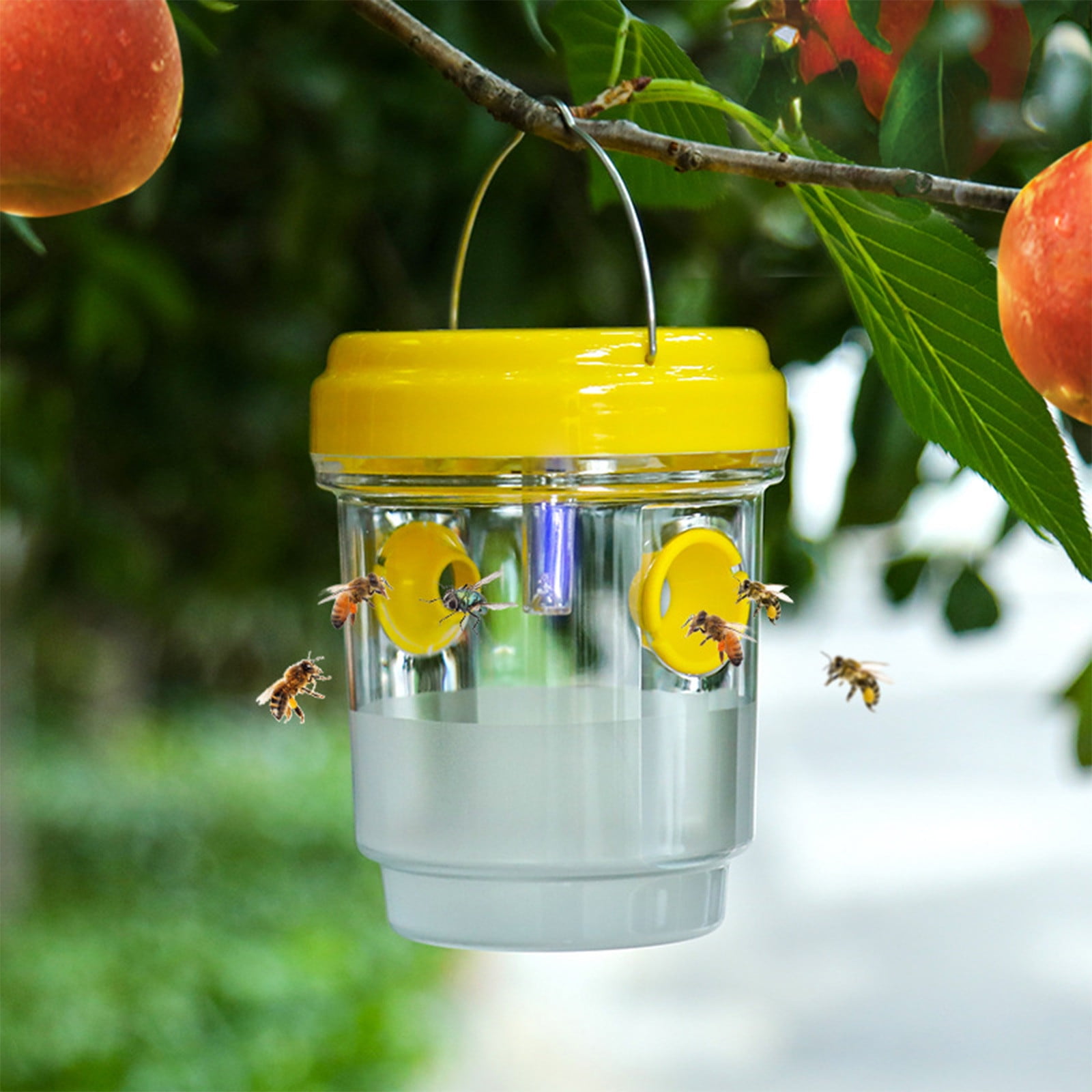 Clearance! Bee Trap, Garden Pest Trap, Bee Hanging,trap, Reusable Bee ...