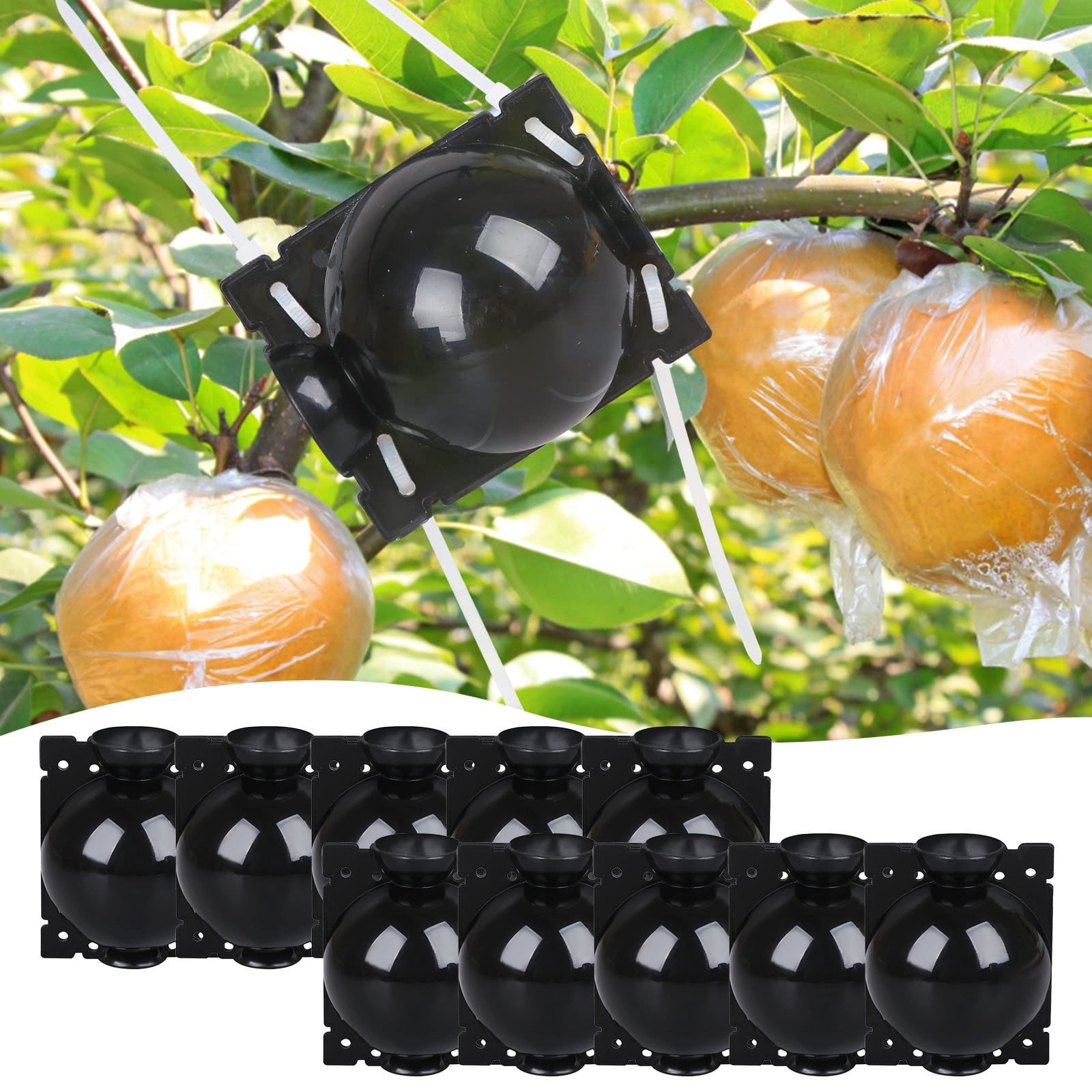 Clearance！ Bifavgk Plants For Grafting And Rooting Rooting For Garden ...