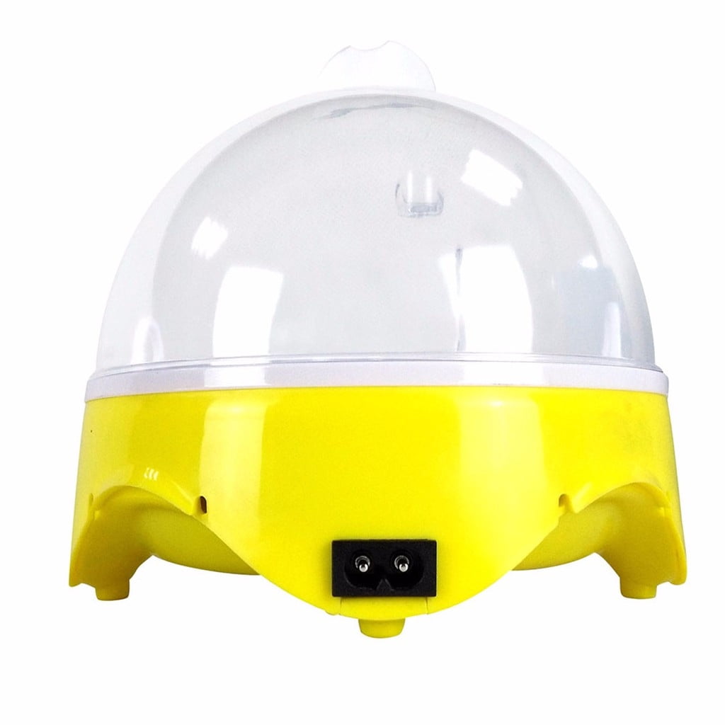 Clearance! Binkne Egg Steamer, Egg Incubator European Standard ...