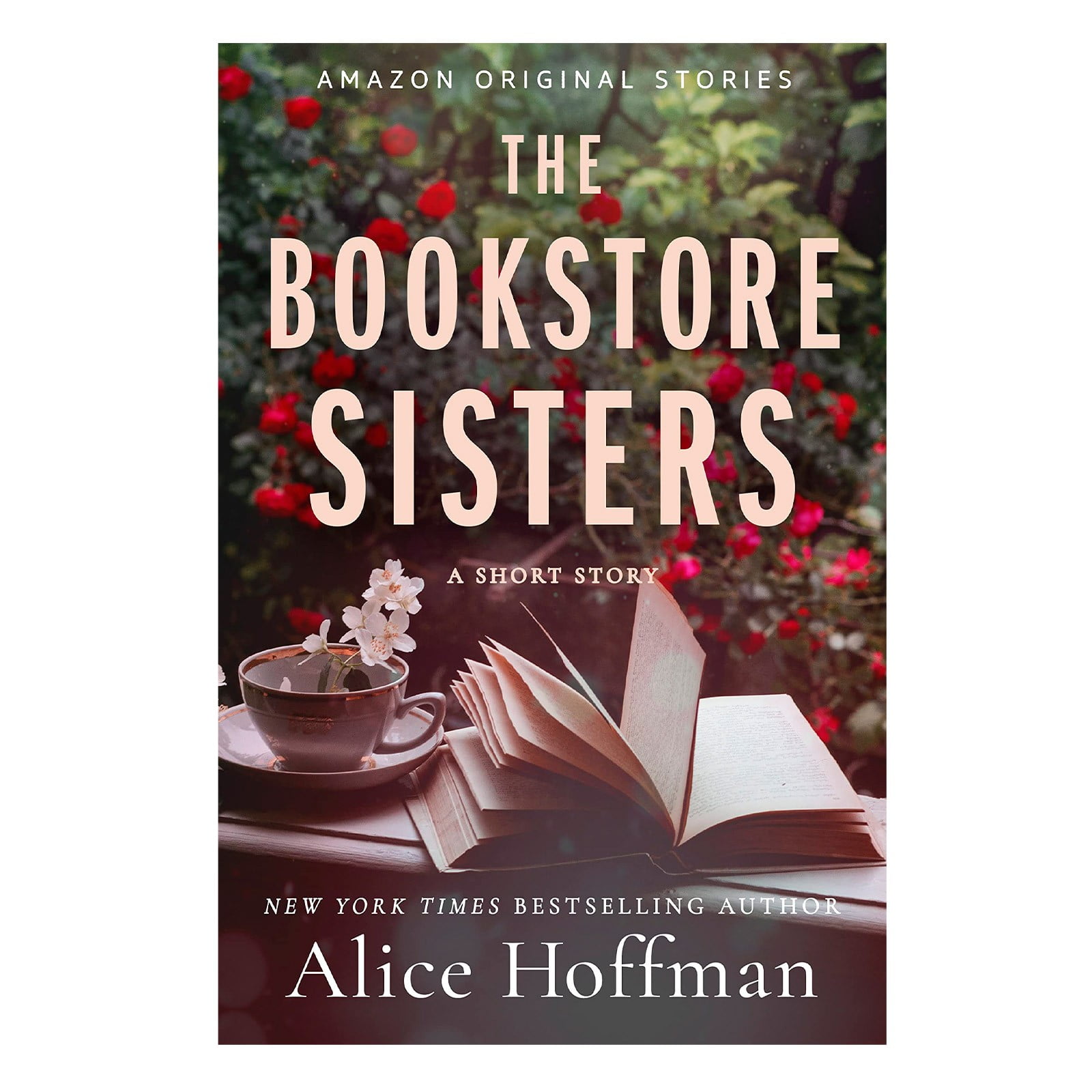 Clearance! The Bookstore Sisters: a Deeply Moving Short Story About the ...