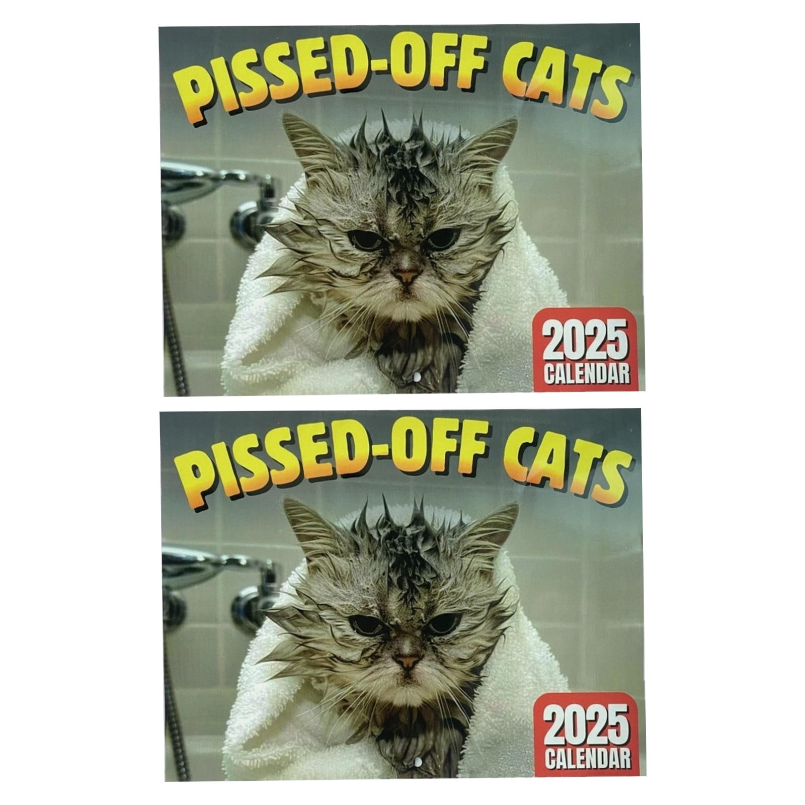 Clearance Deal 2025 Peed Off Cats Calendar Funny Cat Themed Gifts For ...