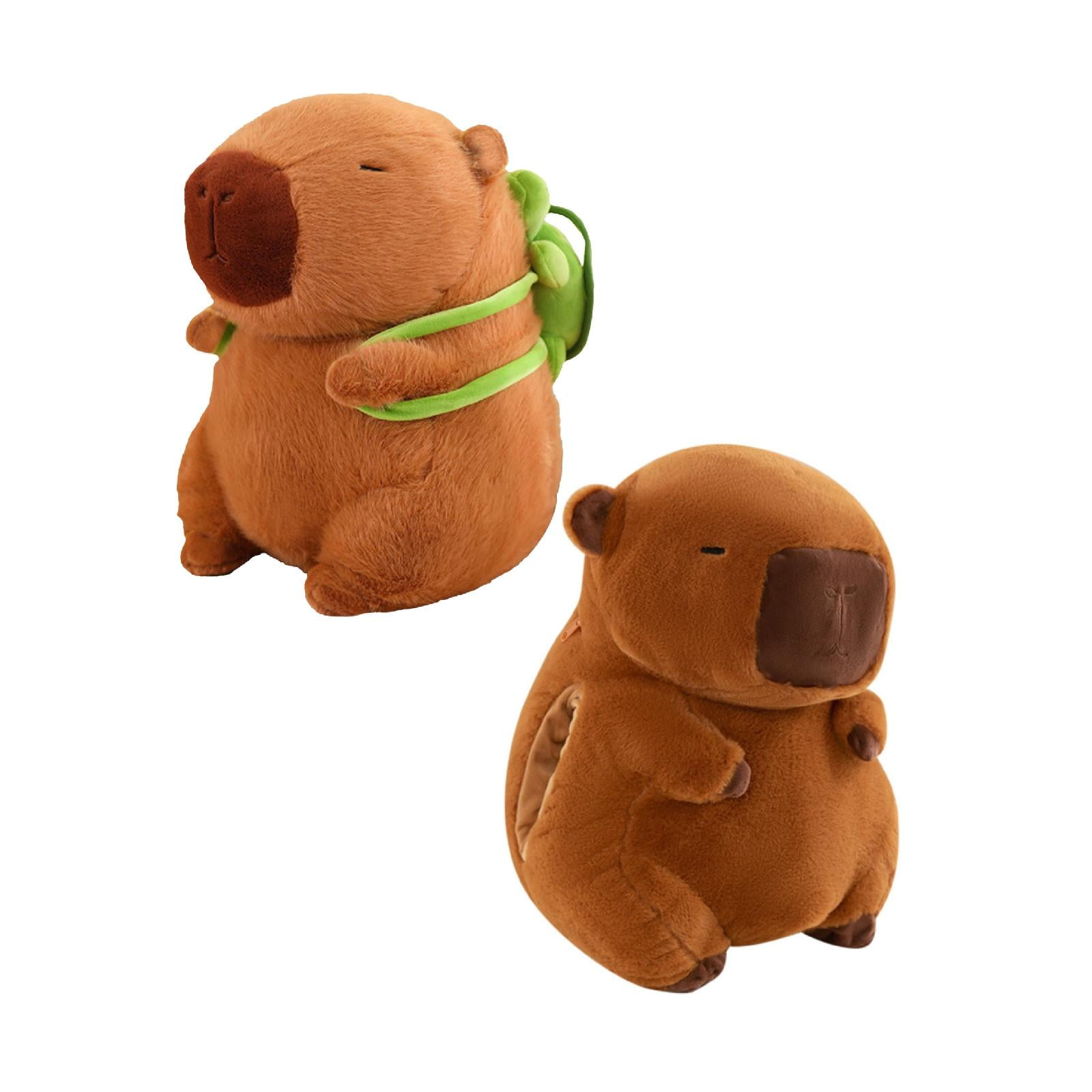 Clearance! Denhf 2Pcs Capybara Plush with Turtle Backpack, Cute ...