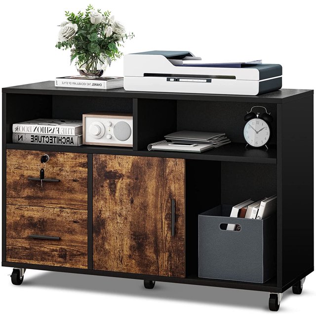 Dextrus Solid Modern Wood File Cabinet, 2 Drawer Mobile Lateral Printer ...