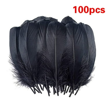 Kyoffiie 10PCS Ostrich Feather Multi-Color Ostrich Feather Plume ...