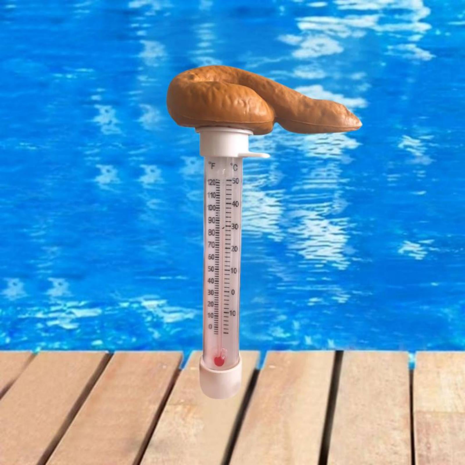 Clearance! Floating Poop Pool Thermometer,Funny Floating Poop Pools ...