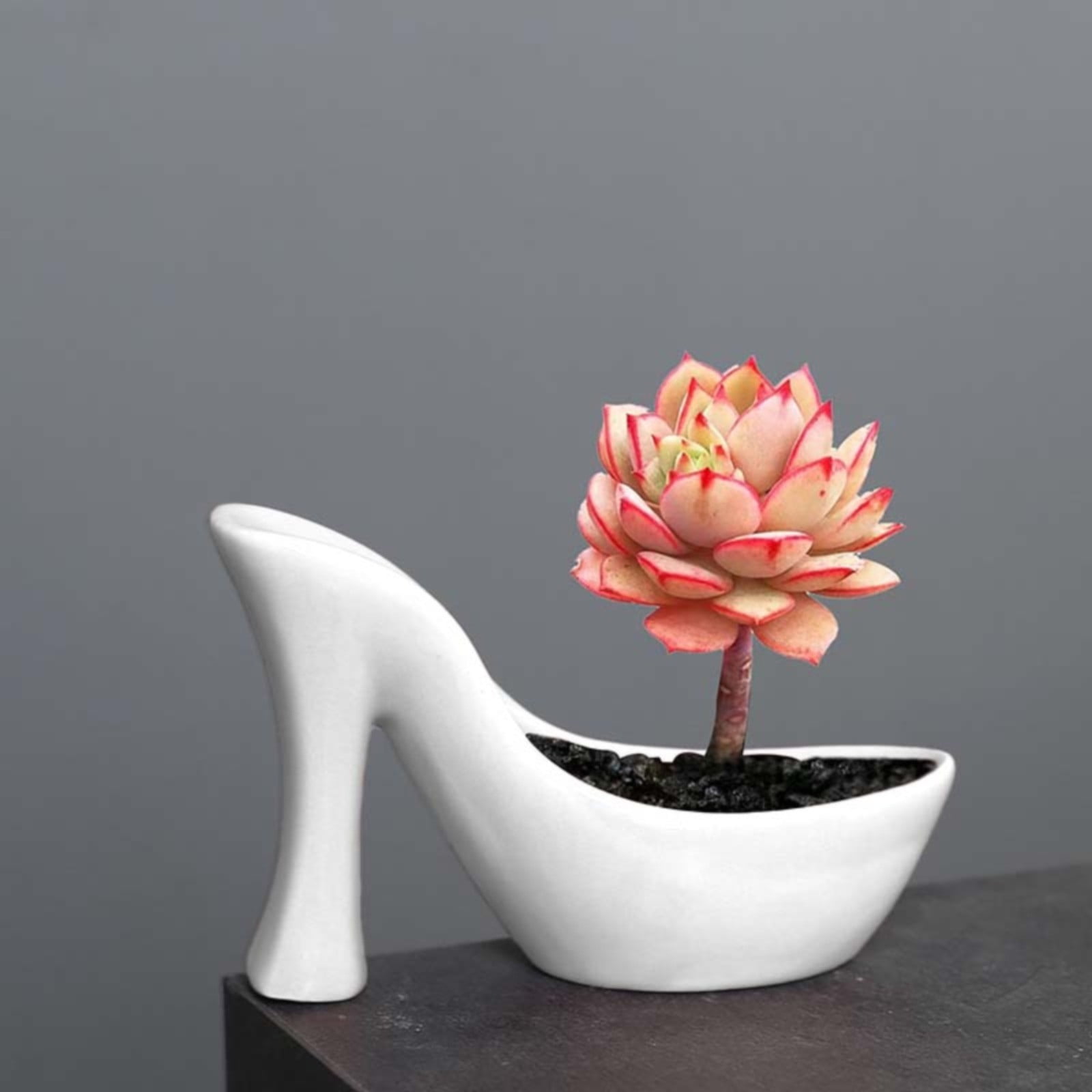 Clearance Flower Pots under $10 Indoor Succulent Planter Flower Pots ...