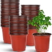 Walmart 3in Biodegradable Seedling Peat Pots, 100 Pack with Plant ...