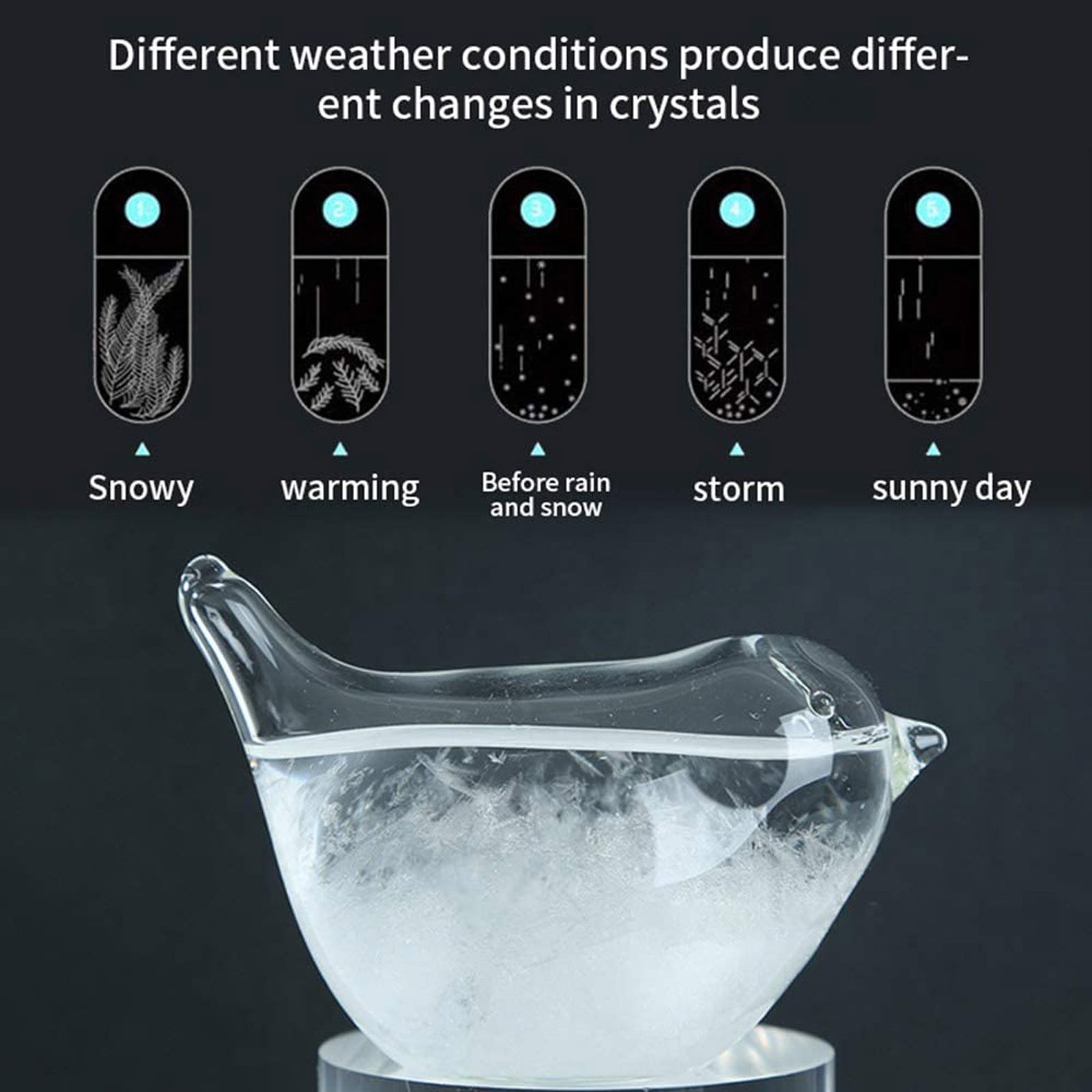 Clearance Glass Weather Forecaster Liquid Barometer Predictor Desktop ...