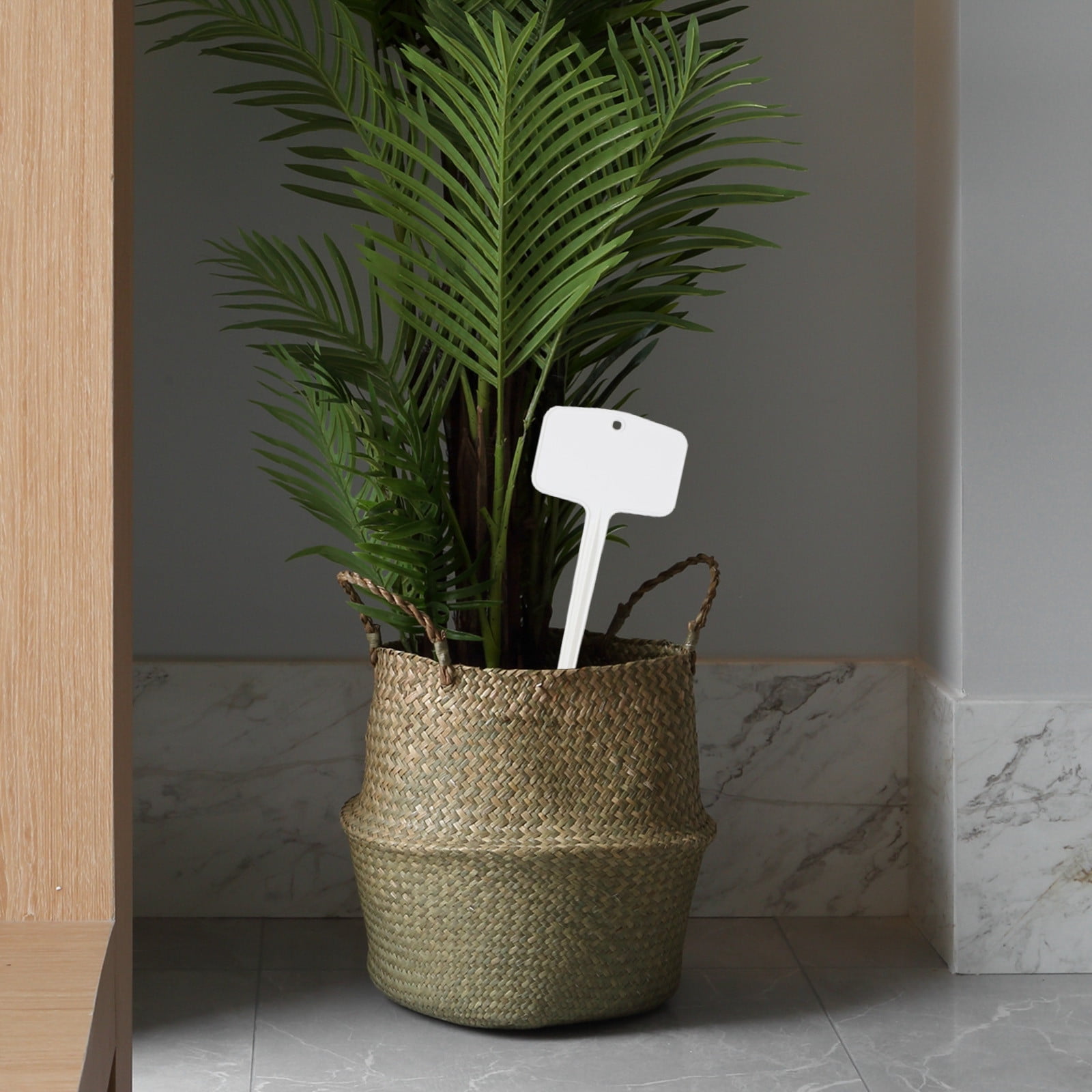 Clearance Items! Plastic Plant Labels, T-Type Garden Tags, Outdoor ...