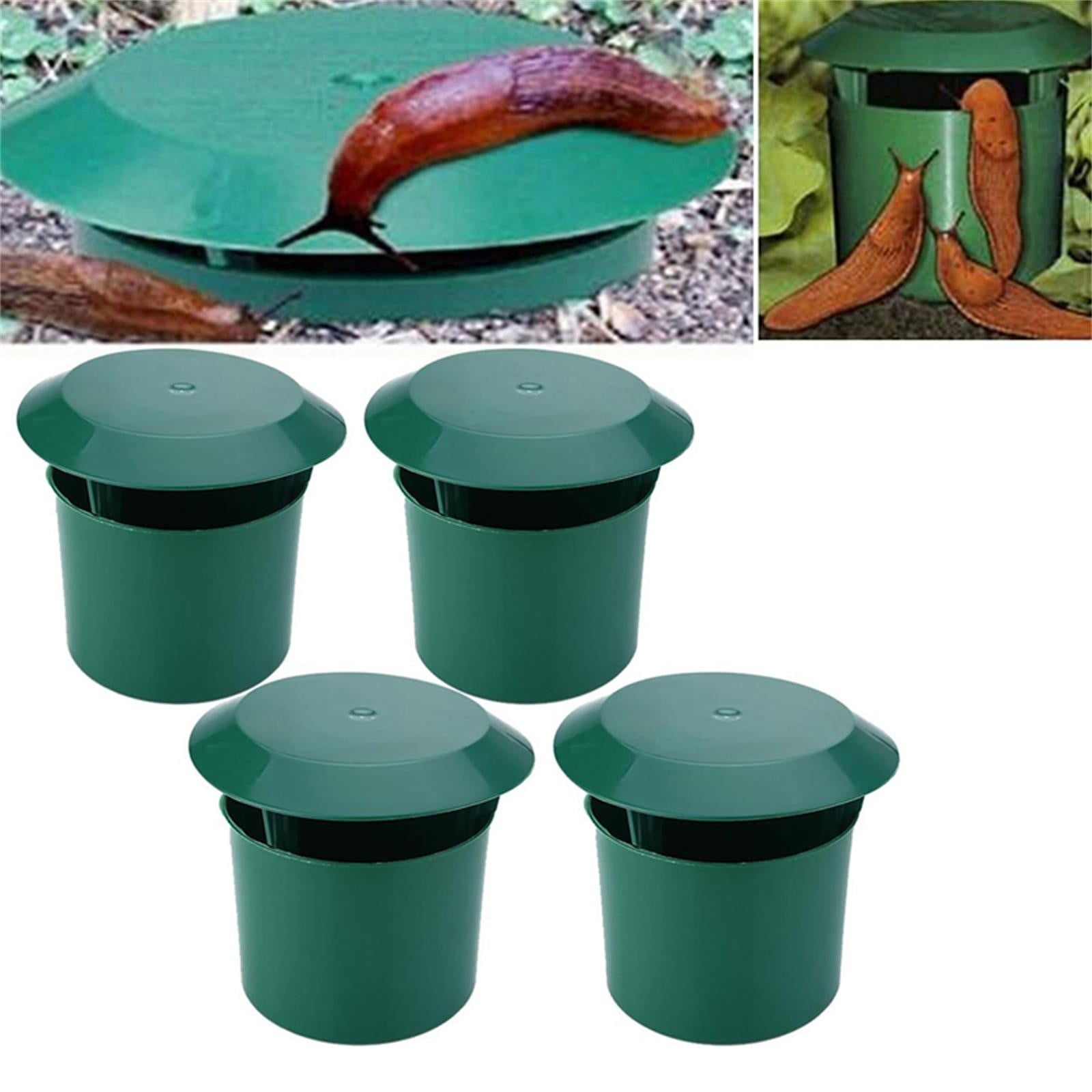 Clearance! MASLVO Insect Traps Indoor Flying Insect Trap Beer Trap Beer ...