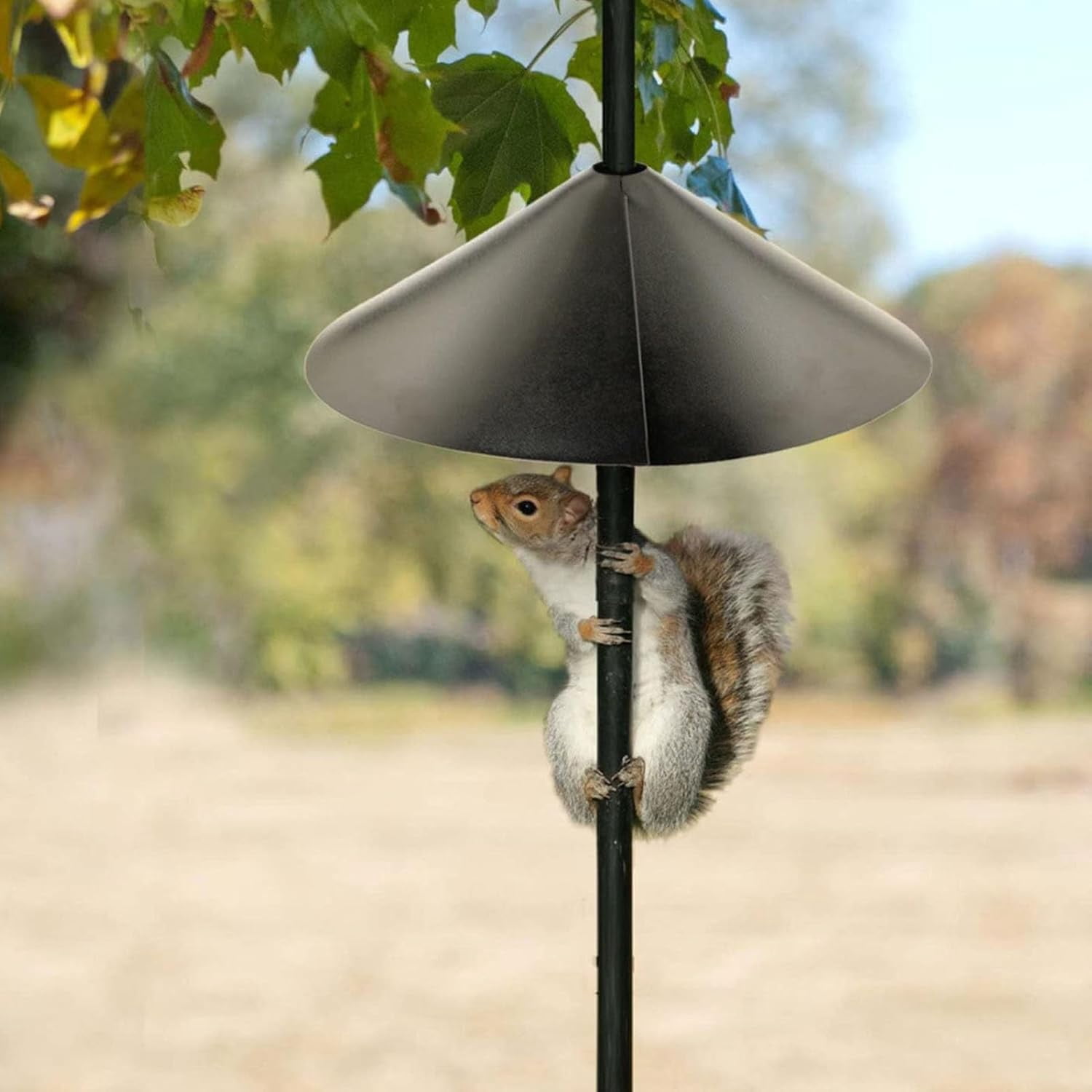 Clearance! Metal Squirrel Baffle for Bird Feeder Pole, 12/14/16/18 Inch ...
