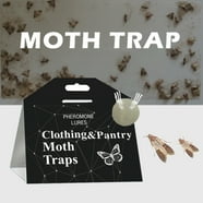 TIAB INC Moth Shield Lavender Scented Clothes Moth Balls 4Oz ...