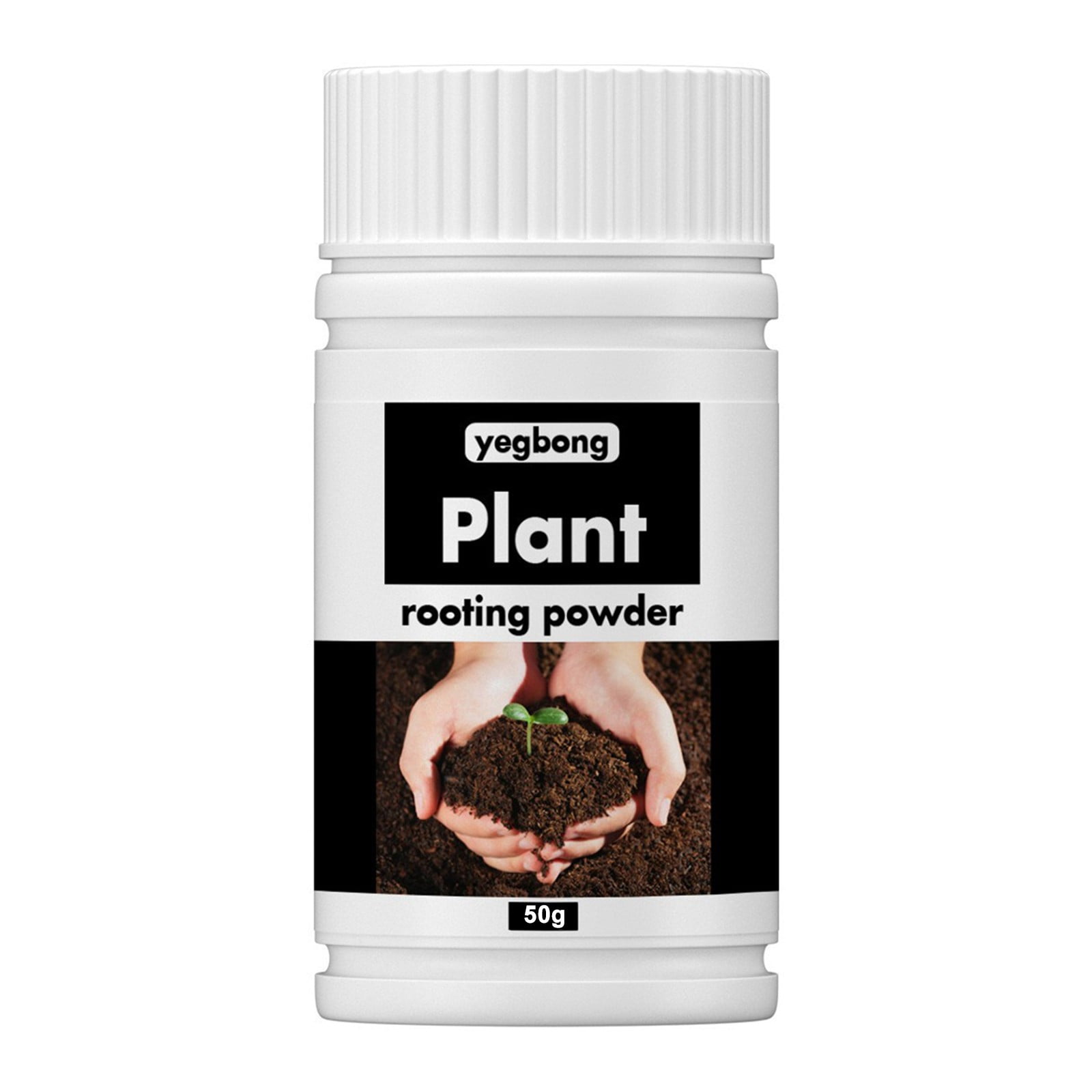 Clearance! Plant Nutrition Powder Ingredient Safety Chlorophyll Organic ...